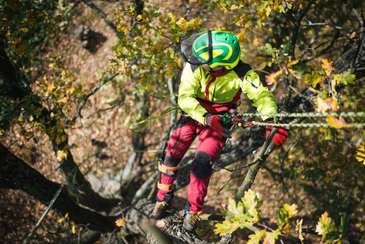 Kildonan Tree Service | Full-Service Arborist | Winnipeg, MB